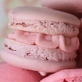 Anatomy of a Perfect Macaron - Indulge With Mimi